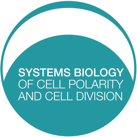 Matthieu Piels Lab Institut Curie