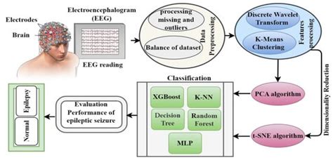 diagnostics free full text effective early detection of epileptic seizures through eeg