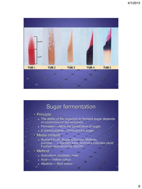 Biochemical Reaction Mahadi Ppt Pdf
