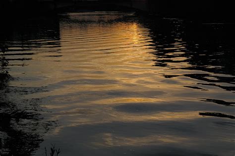 Free Photo Water Wave River Mirroring Hippopx