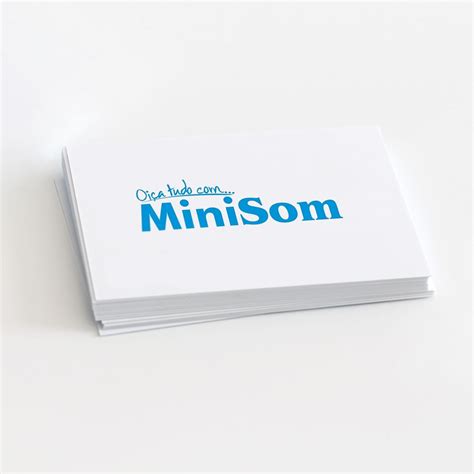 Minisom Private Equity Investment Capital Adventure Investments