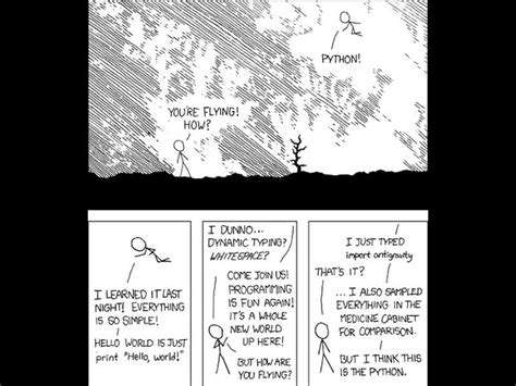 Python Language Comic Xkcd Standards