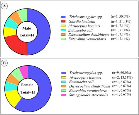 Figure 1 From Investigating Intestinal Parasitic Infections With Emphasis On Molecular