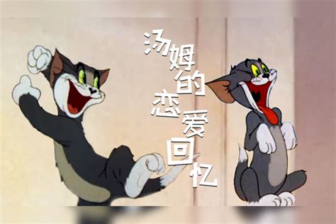 猫和老鼠汤姆名场面原来护花使者真正的MV是这样的 汤姆 场面