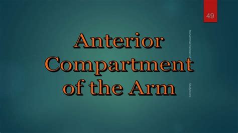 Muscles Of Upper Limb Pdf