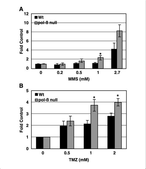 Deletion Of Pol H Results In Increased Expression Of G H2ax