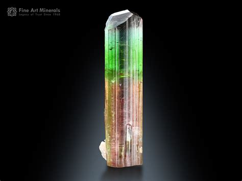 Tourmaline From Paprok Afghanistan Trml 67 Fine Art Minerals