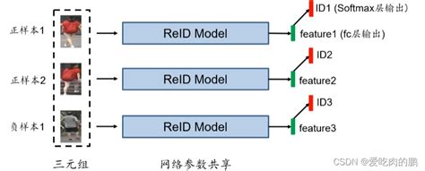 C语言文件读写