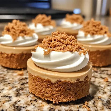 No Bake Biscoff Desserts
