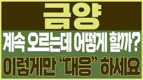 금양 주가전망 🚨필수시청🚨 계속 오르는데 어떻게 할까요 🔥🔥🔥 주주님들 딱 이렇게만 대응하세요 에코프로 2