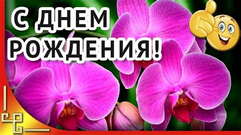 Шикарное поздравление с днем рождения Музыкальное поздравление Для