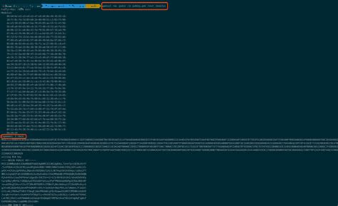 小公钥指数攻击 犰狳不求余