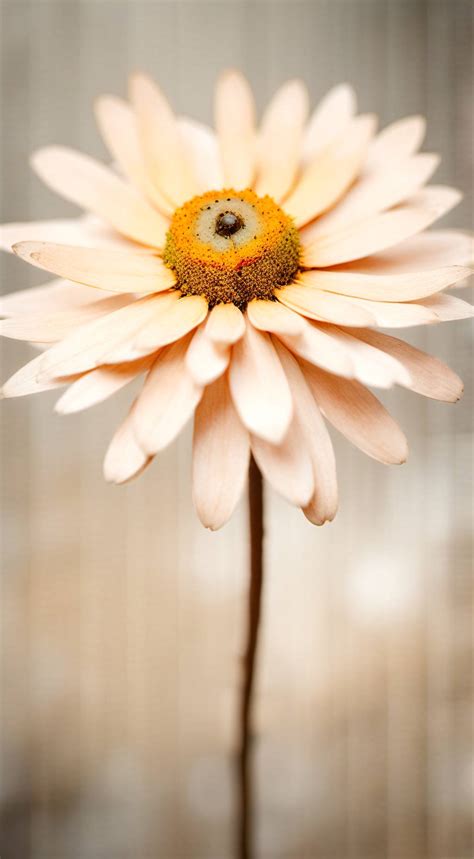 Chat With Rock Sqaud Enjoy Free Ai Character Voice Chat Talkie Ai