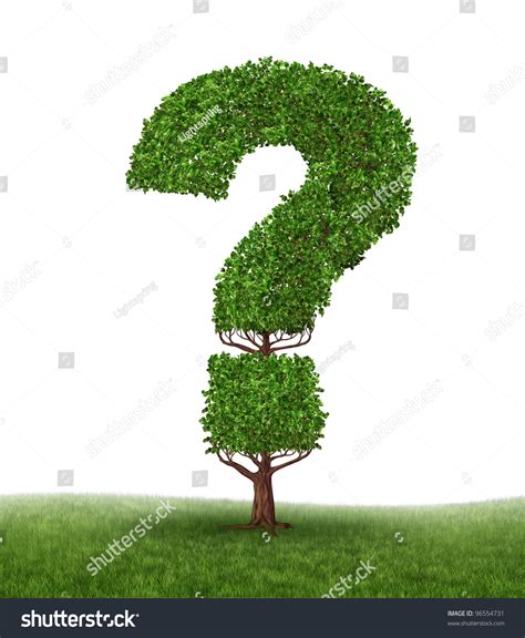 Growing Search Information Growth Tree Shape Stock Illustration