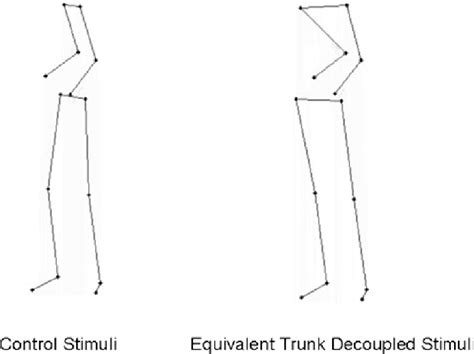 Visual Representation Of The Difference Between A Decoupled Stimulus Download Scientific