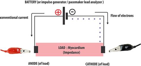 Cardiac Pacemaker And Electrophysiology Ecg