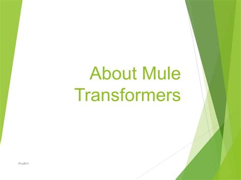 About Mule Transformers Pptx