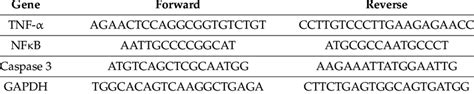 Primer Sequences Of Genes Measured In The Study Download Scientific Diagram
