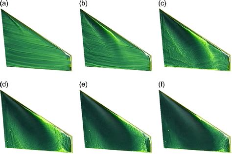 Colour Online Snapshots Of Instantaneous Flow Visualisation For The Download Scientific
