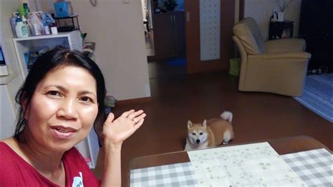 Simply In Japan With Shiba As A Housewife Youtube