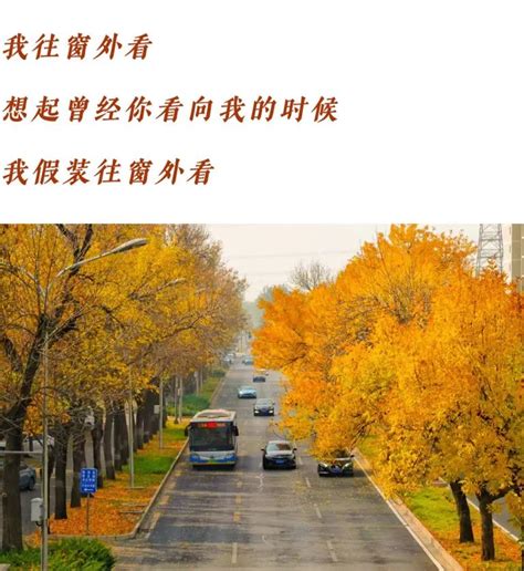 10月29日深圳新增6例确诊病例和4例无症状感染者科普健康160资讯网
