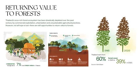 BCG Series EP 24 RETURNING VALUE TO FORESTS 泰国国家发展管理研究生院