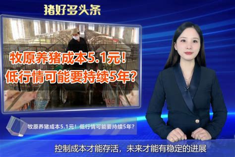 惊？牧原养猪成本51元！低行情可能要持续5年？成本比拼才刚开始凤凰网视频凤凰网