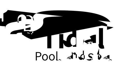 Tidal Pools And Spas Tidal Pools And Spas