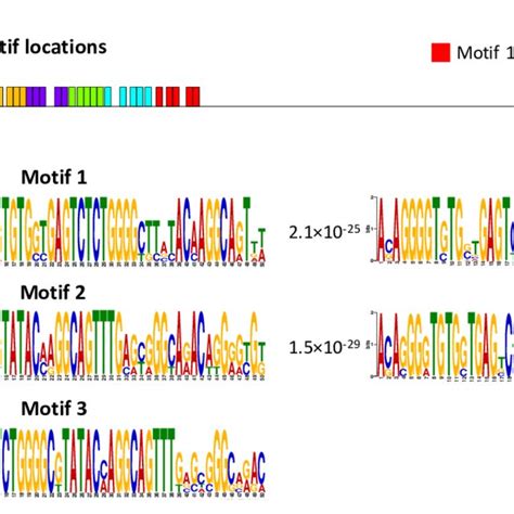 Output From Busco Analyses To Assess Genome Completeness By Searching