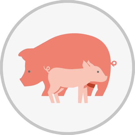 Initiative Tierwohl Antworten auf häufige Fragen Initiative Tierwohl