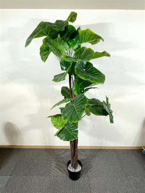 福岡 直接引き取り限定 W800 フェイクグリーン 人口観葉植物 W800 H1900 D600 モデルr展示品 Br4086kh中古の