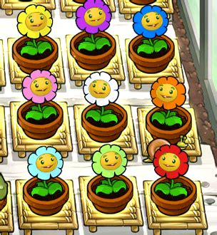 Pvz