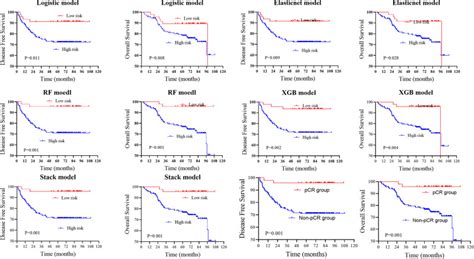Pathomics Based Machine Learning Models For Predicting Pathological Complete Response And