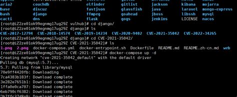 Django Sql Cve Mermer