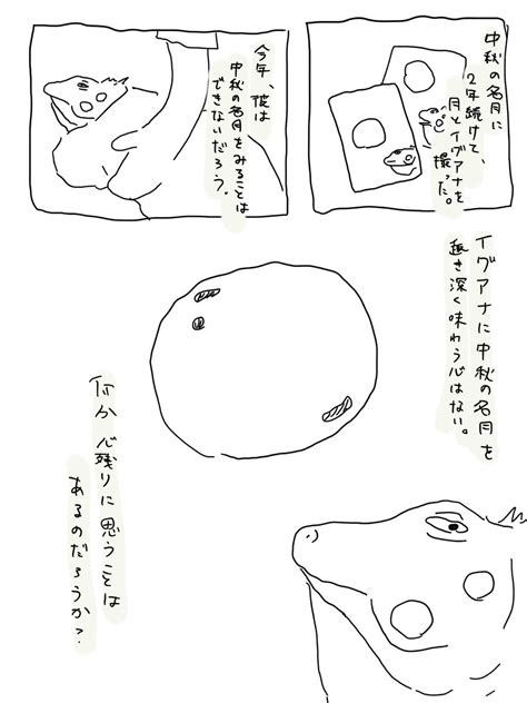「何考えてるかわからないお前が好き 」小学の漫画