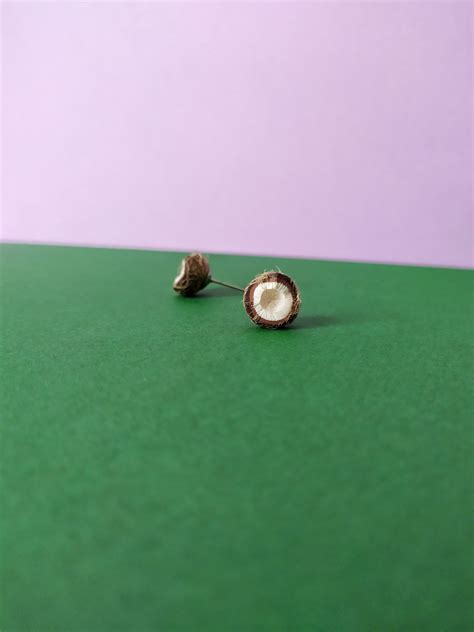 Mini Coconuts Sudiosa