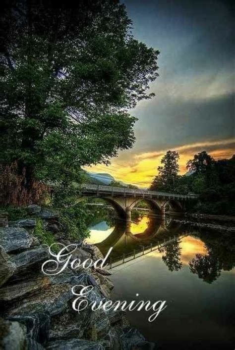 10 Beautiful Good Evening Quotes To Help Appreciate A Good Night