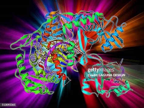 Tertiary Structure Photos And Premium High Res Pictures Getty Images