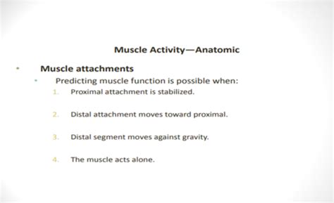 Kines Chpt 4 Flashcards Quizlet