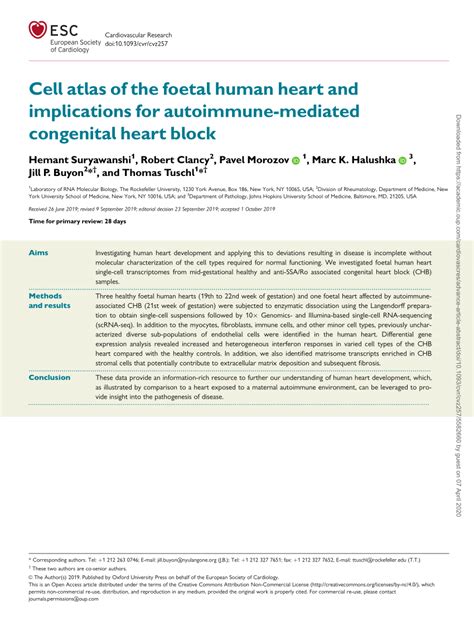 Pdf Cell Atlas Of The Fetal Human Heart And Implications For