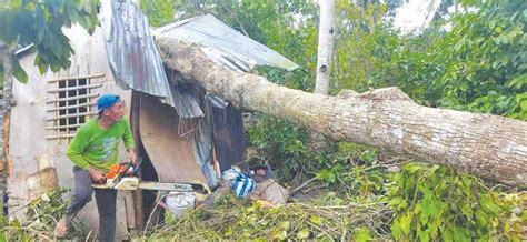 In Typhoon Hit Guimaras The Wind Whistled