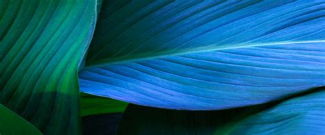 Open Session 18 Autonomous Networks Building Autonomy From Assessment To Realization