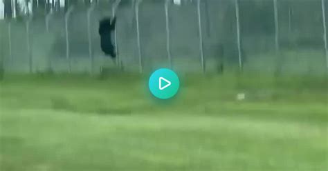 Sneaking Back In To Your High Security Enclosure After You Snuck Out