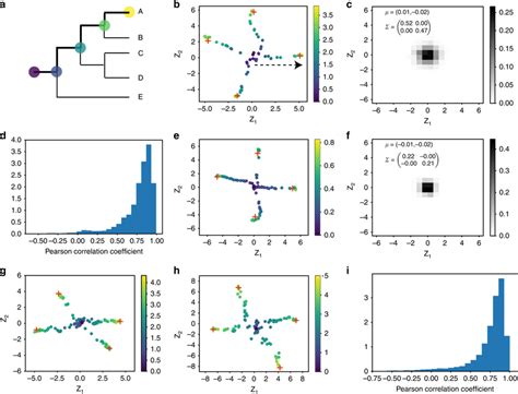 Latent Space Representation Of Sequences Captures Ancestral