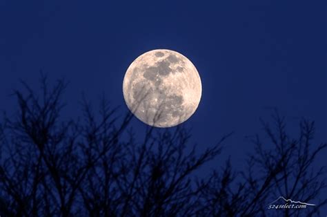 夕暮れの月撮影