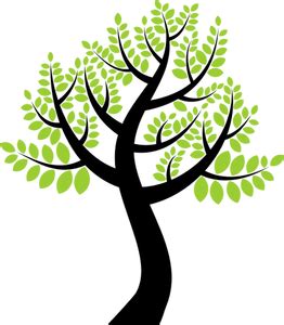 Tree Of Life Clip Art Free Public Domain Vectors