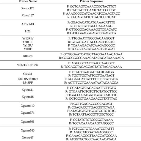 Kasp Primer Sequences Of Yr Genes Download Scientific Diagram