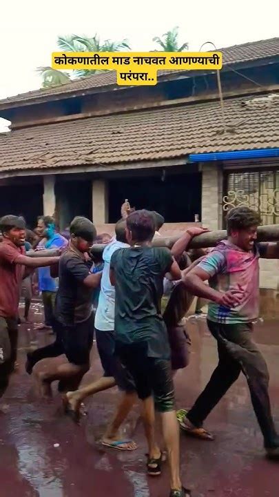 Kokanatil Shimga होळी साठी माड नाचवत आणण्याची परंपरा कोकण होळी