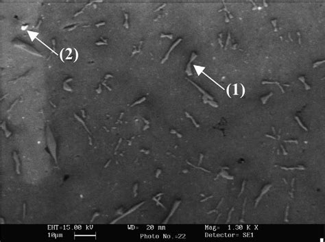 typical unetched sem microstructure of cast in situ al mn al 2 o 3 mno