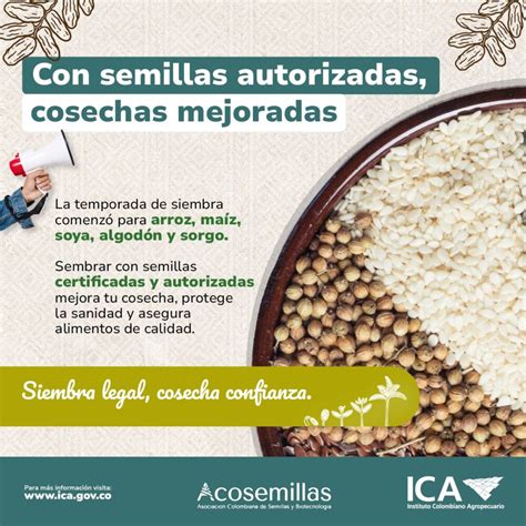 CRISPR Transformando La Agricultura Y El Futuro De Los Alimentos